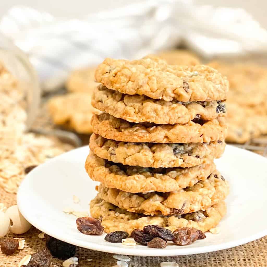Soft and Chewy Oatmeal Raisin Cookies - Maplewood Road