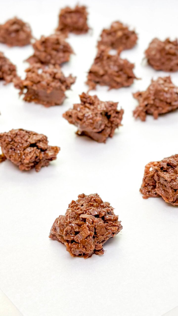 Chocolate Coconut Clusters - Maplewood Road